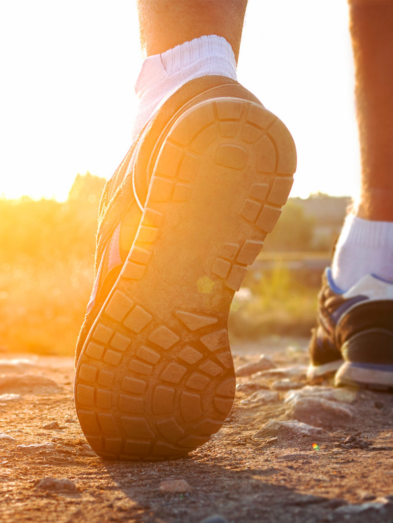 Case Studies – Solar Nexus